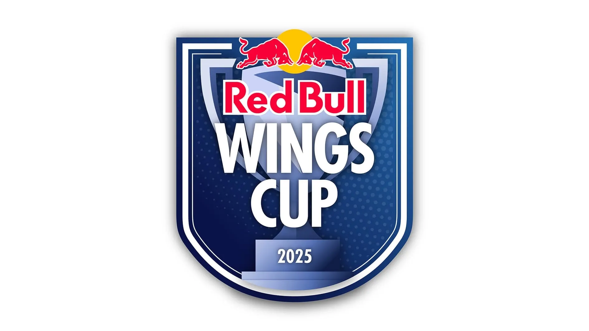 Format, rules... Red Bull's innovative tournament - VESTIAIRES